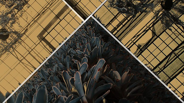 Photo Composition Techniques that Bring Photos to Life